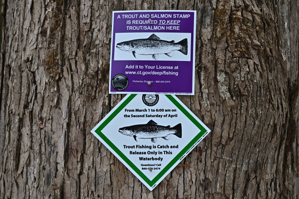 Conservation Efforts for Recreational Fishing Every Angler Must Know ...