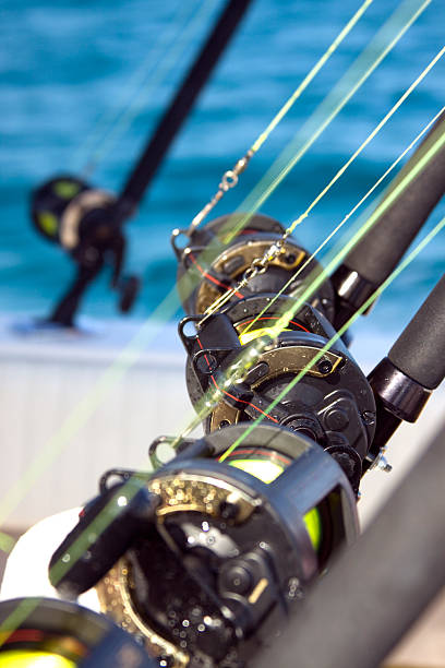 Maximize Your Catch - The Ultimate Guide to Durable Fishing Line ...