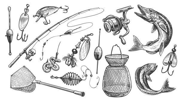 Must-Have Fishing Gear Essentials for Every Fishing Adventure! – Deep ...